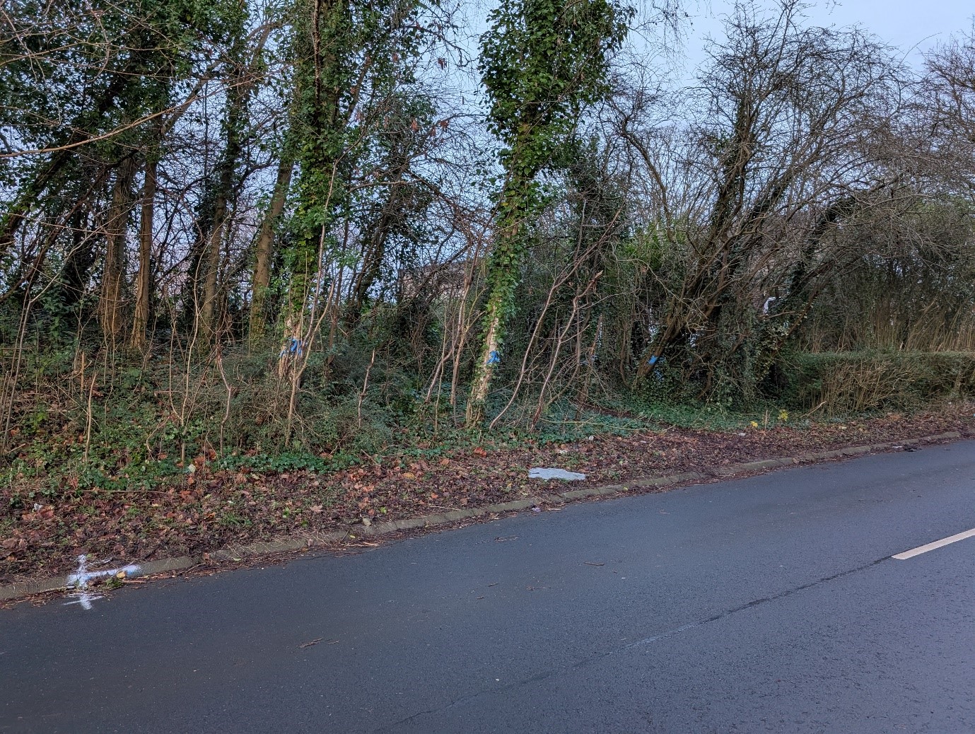 HBC newsroom | Halton Borough Council news & events