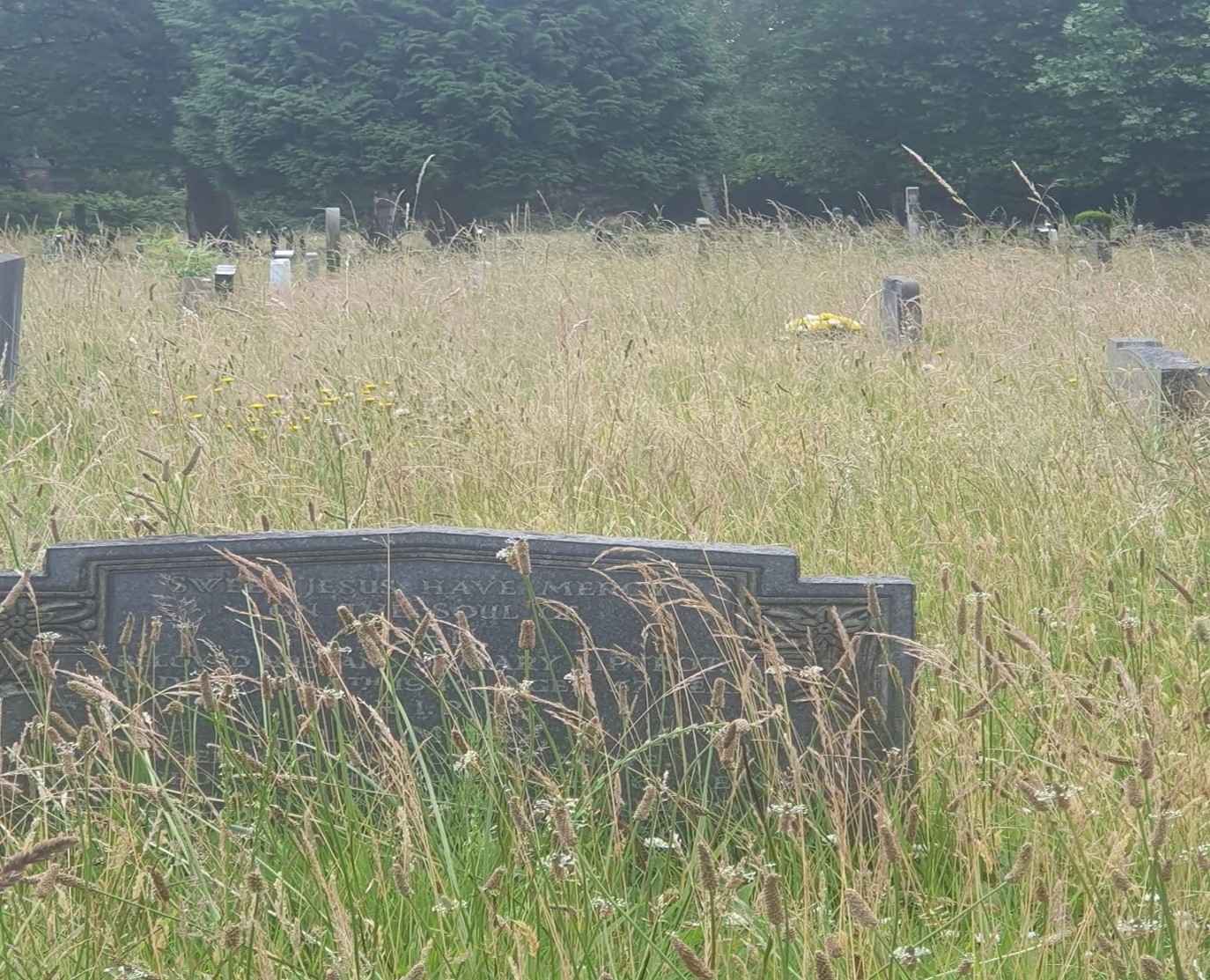 HBC newsroom | Halton Borough Council news & events